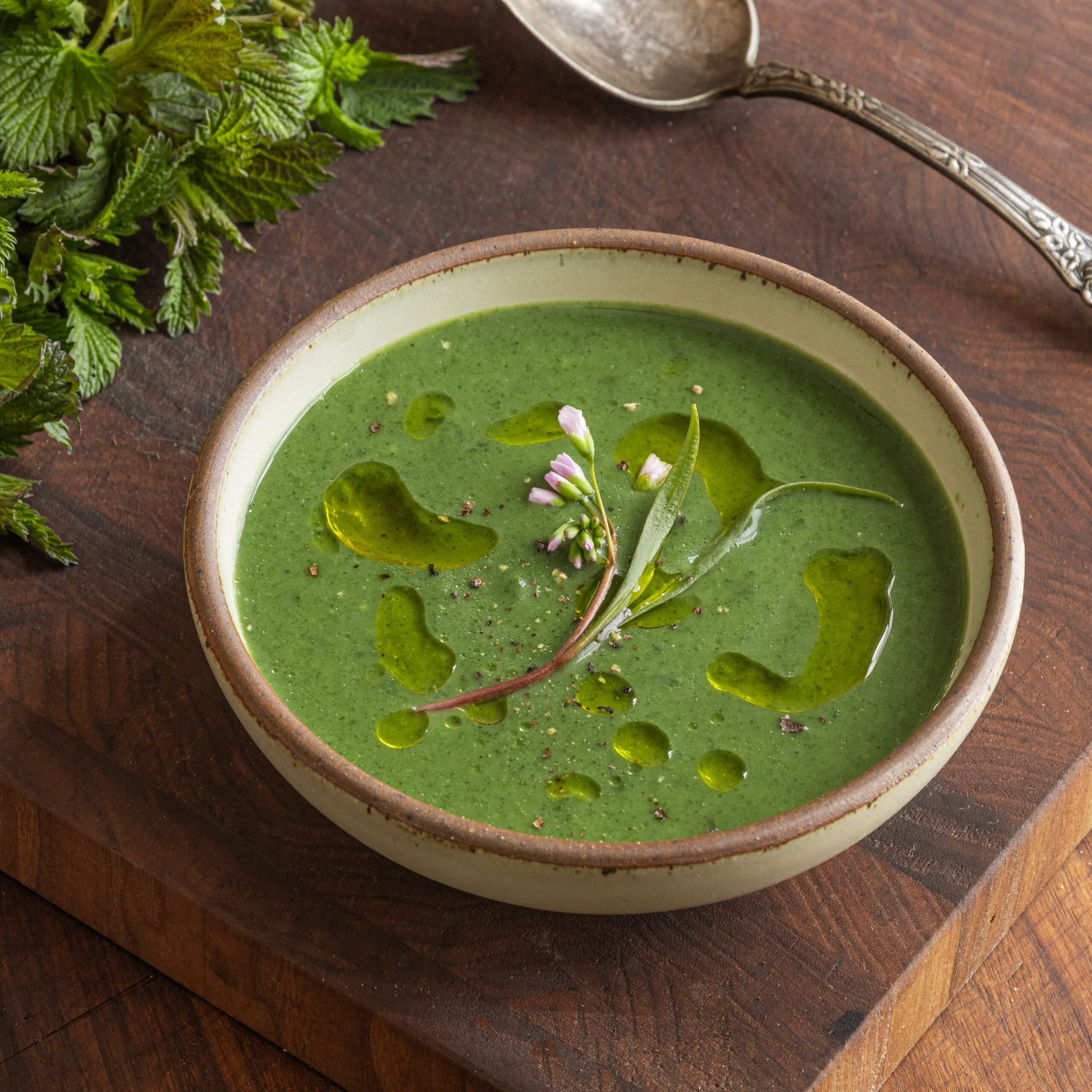 Classic Stinging Nettle Soup - Edible Minnesota